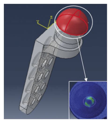 Evaluation Of Contact Stresses At A The Glenoid Fossa And B Download Scientific Diagram