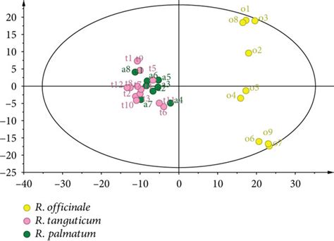 Pca And Opls Da Diagram Of Three Species Of Rhubarb Pca In Positive