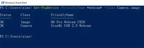 How To Use Powershell To Disable And Enable Webcam On Windows 10 Dynamsoft Developers Blog