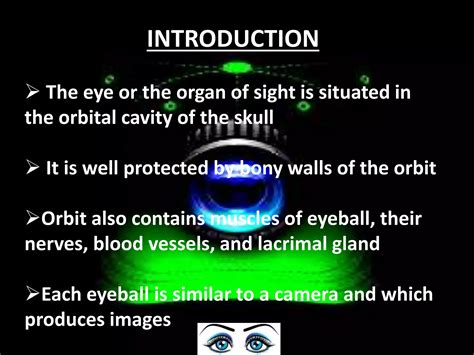 Anatomy Of Eye Ppt Pptx
