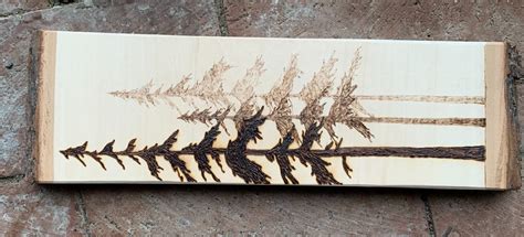 Tall Trees Pyrography Workshop Scaac