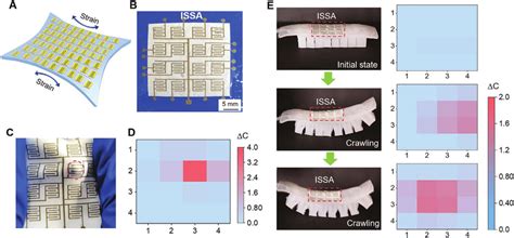 The Integrated Strain Sensor Array Issa And Its Performance In
