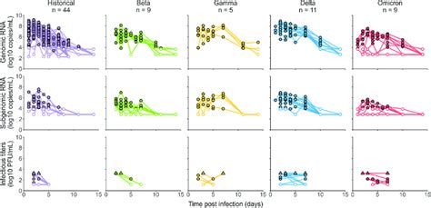 longitudinal measurements of genomic rna subgenomic rna and infectious