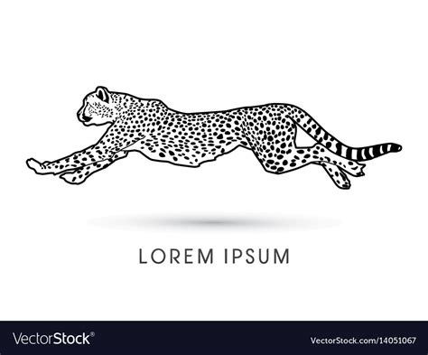 Cheetah Running Royalty Free Vector Image Vectorstock