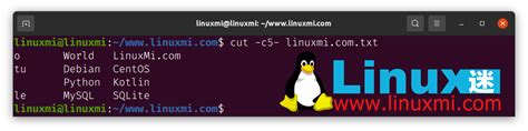 成为高级用户，linux Cut 命令的9个实例 Linux迷