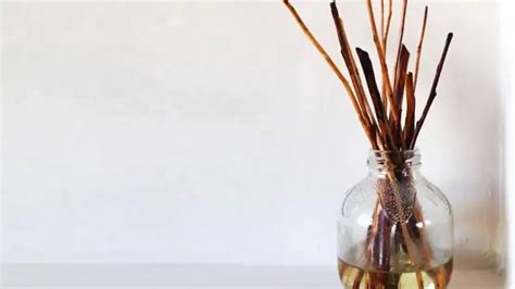 Diy Reed Diffuser Create Your Own Aromatic Oasis