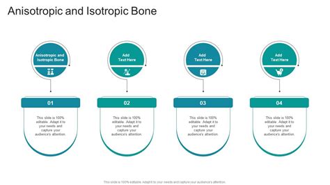 Anisotropic And Isotropic Bone In Ppt Powerpoint Presentation Slide