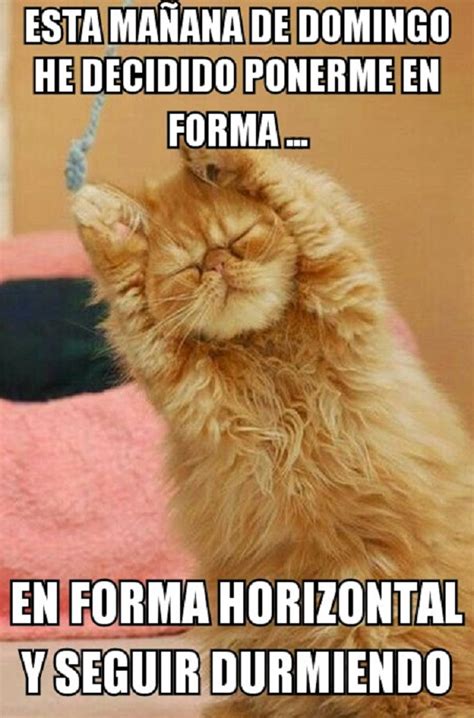 Memes 2 164 Memes Divertidos Memes Graciosos Meme Div