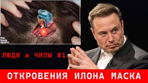 Дивный новый мир и новые правые Новые откровения Илона Маска о сроках чипизации и