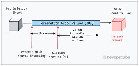Sigint Vs Sigterm Vs Sigkill The Coding Gopher