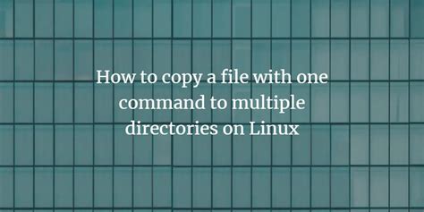 How To Copy A File With One Command To Multiple Directories On Linux