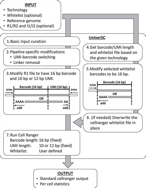 Multi Platform Universal Single Cell Rnaseq Data Processing Pipeline Universc Rcbirt