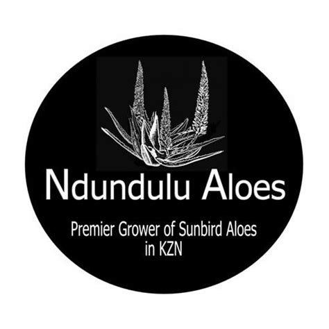 Ndundulu Aloes