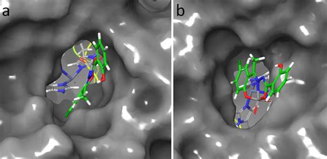 Docked Structure Of Complex 4 With Hca I A And Hca Ii B Download Scientific Diagram