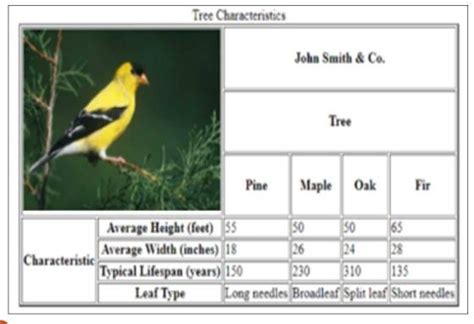 Html Code Tables Sarthaks Econnect Largest Online Education Community