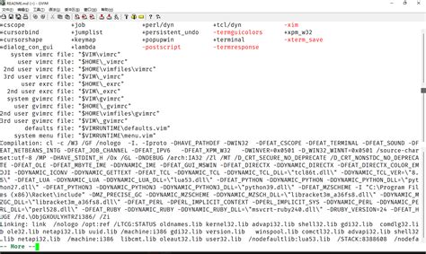 After Installation An Error Is Reported In Gvim Issue Vim