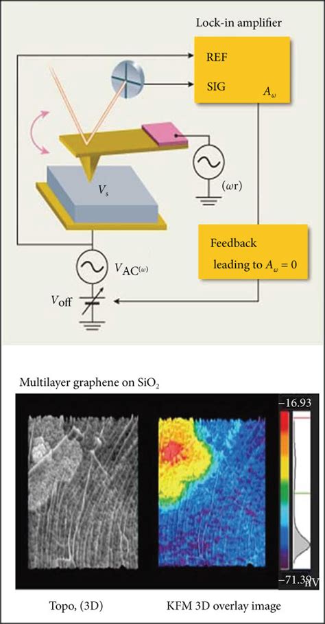 Afm Working Principles And Modes A Generalized Schematic Of Afm Of Download Scientific