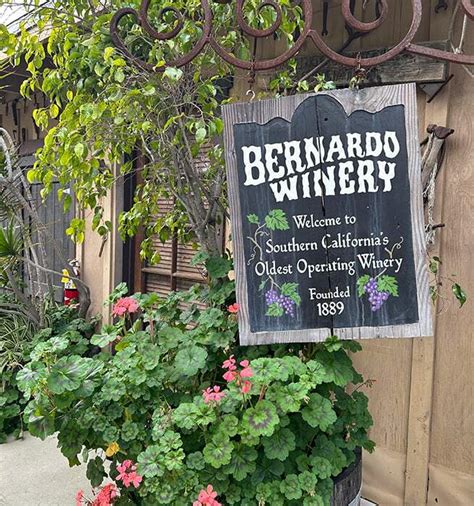 Porque VocÊ Precisa Conhecer A VinÍcola Bernardo Winery Em San Diego