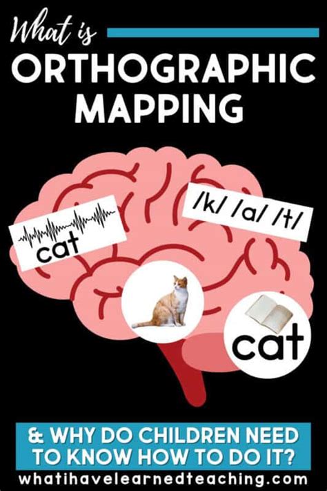 What Is Orthographic Mapping