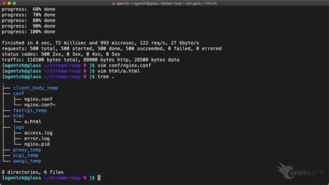 OpenResty 中的流式 响应输出 OpenResty 官方博客