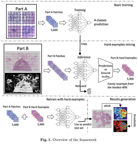 Histopathology Whole Slide Image Segmentation Using Image Classification Advanced Part 1 V3