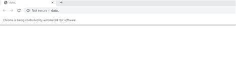 MS Dynamics 365 Login Page Sign In Button Click Does Not Sign In