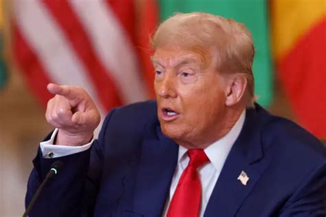 As Reações à Tarifa De Trump Contra Brasil Bolsonaristas Traidores X