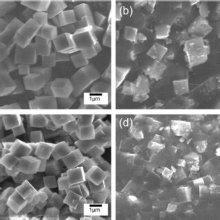 SEM Images Of A NTP B NTP C C NTP RT And D NTP C RT Showing The Download Scientific