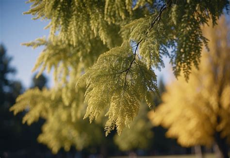 399 Tree Names For Baby Girls Babes Best Picks