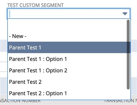 what is a custom segment suiterep