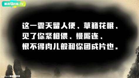 被误解了几百年的禁书金瓶梅深度解读被列为禁书真正原因 哔哩哔哩