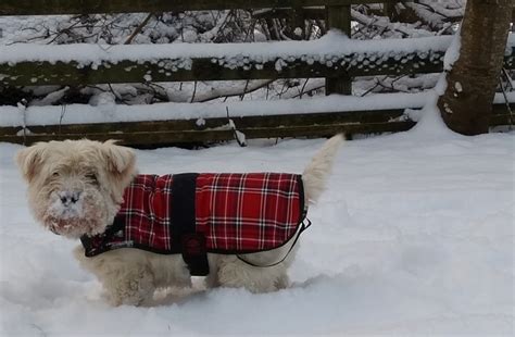 Coderdojo Athenry Cancelled On 3 March 2018 Coderdojo Athenry