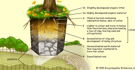 Petani Sarjana Mineral Pembentuk Tanah