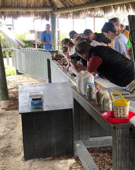 The Weather Is Beautiful And Sawgrass Recreation Park