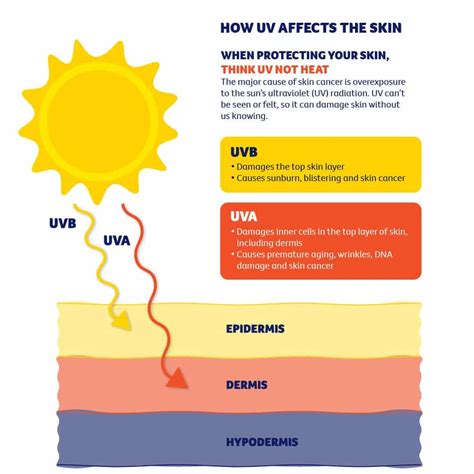 The ABC Of UV What Exactly Is UV Radiation Generation SunSmart