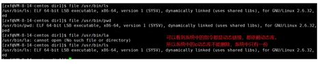 【linux】linux中gccg的使用使用 Stdc99 或 Stdgnu99 来编译您的代码 Csdn博客