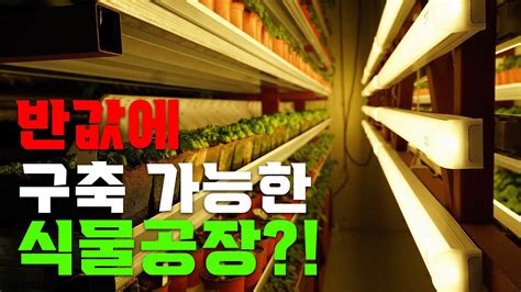 식물공장 반값에 구축 가능한 방법ㅣ 식물공장 구축 노하우 공개 ㅣ 특허받은 식물공장 Youtube