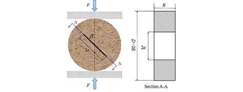 Diagrams Of The Cstbd Specimen Under Compression Download Scientific Diagram
