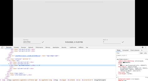 Vuejs Ag Grid Vue Not Rendering The Table Stack Overflow