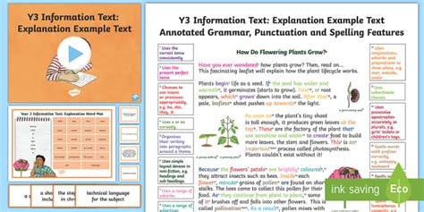 Y3 Information Texts Explanation Model Example Text Writing