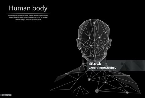 삼각형과 기하학적 모양으로 구성된 선과 점의 형태로 추상이미지 인체 낮은 폴리 벡터 배경입니다 머리에 대한 스톡 벡터 아트 및 기타 이미지 Istock
