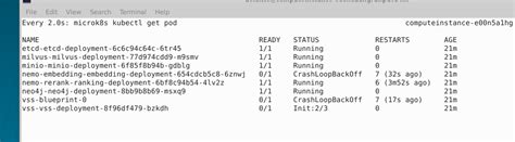 Error Running Nvidia Vss Blueprint Pods Kept Restating And Crashing