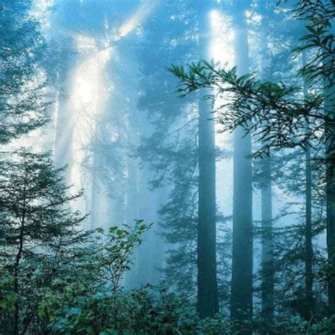 Bryan Lu Analyst Phd Washington Department Of Natural Resources Olympia Department Of