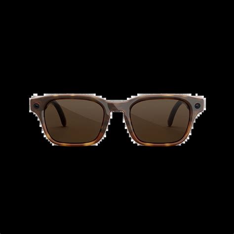 Tortoise Meta Adventurer Ai Glasses Brown Lenses Meta Store Meta