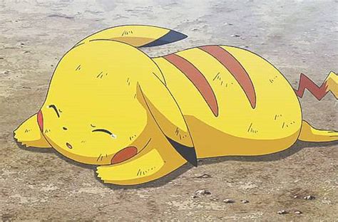 포켓몬스터 넘나 귀여운 피카츄 짤모음 인스티즈 Instiz 이슈 카테고리