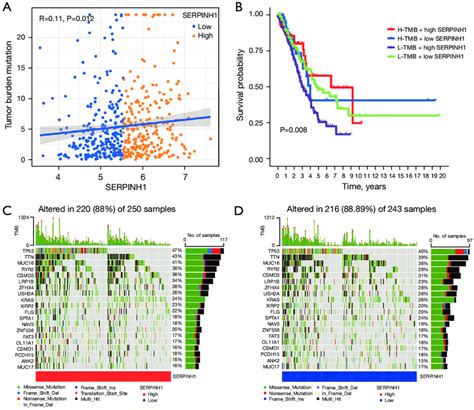 Correlation Analysis Between Serpinh1 And The Tmb A Correlation