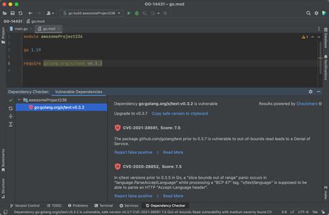 Vulnerability Checker IntelliJ IDEA Documentation