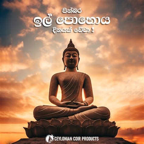 ලක්වාසී ලෝකවාසි ඔබ සැමට පින්බර Ceylonian Coir Products