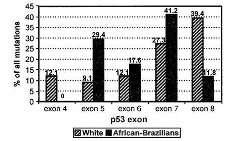 Exon Distribution Of Tp53 Mutations In Primary Breast Carcinomas Download Scientific Diagram