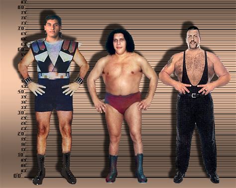 El Gigantegiant Gonzalez Andre The Giant Big Show Imgur